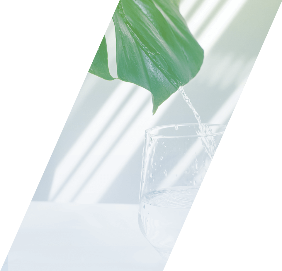 Aqua Springs - Made by nature - Home